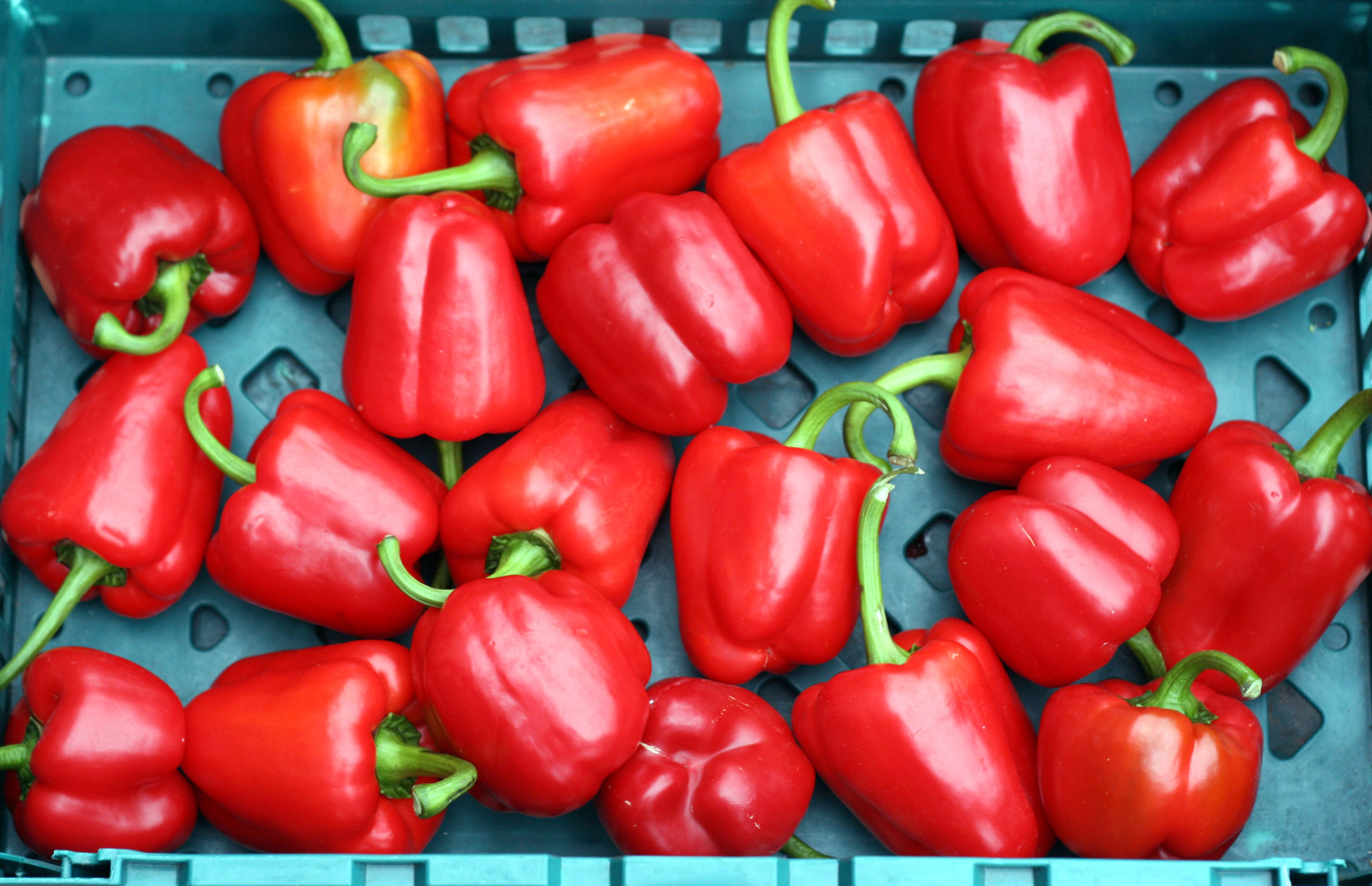 Copy-of-Red-peppers-scaled.jpg